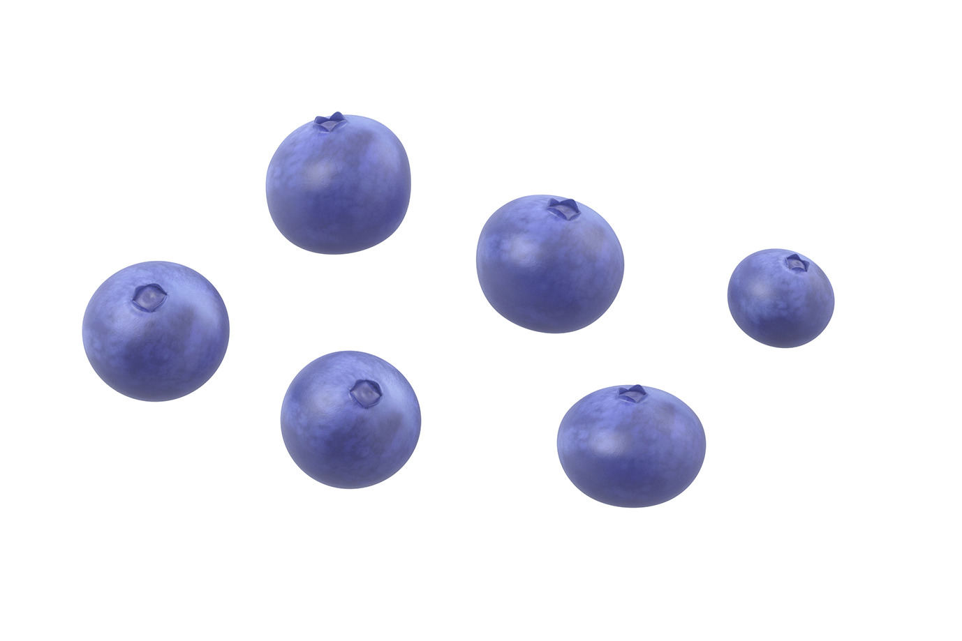 blueberry blueberries graphic, an Object Graphic by CGTech
