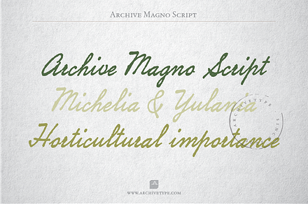 Archive Autograph Script, a Script Font by Archive Type Fonts
