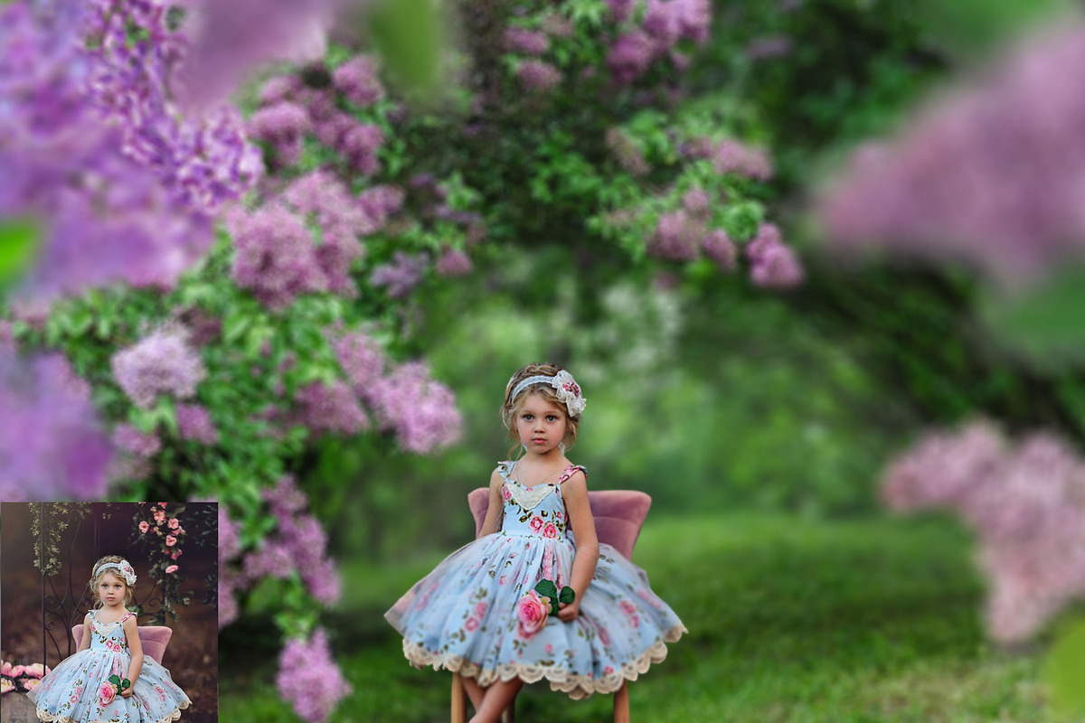 30 Lilac Photo Overlays