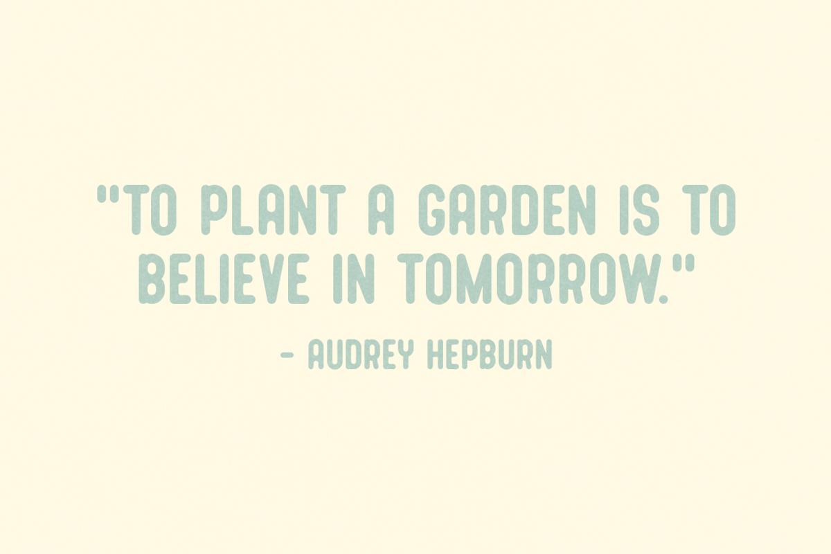 Monoweight Sans Serif Font! | Creative Market