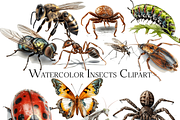 Watercolor Insects Clipart, an Object Graphic by ArtisticTimberStudio