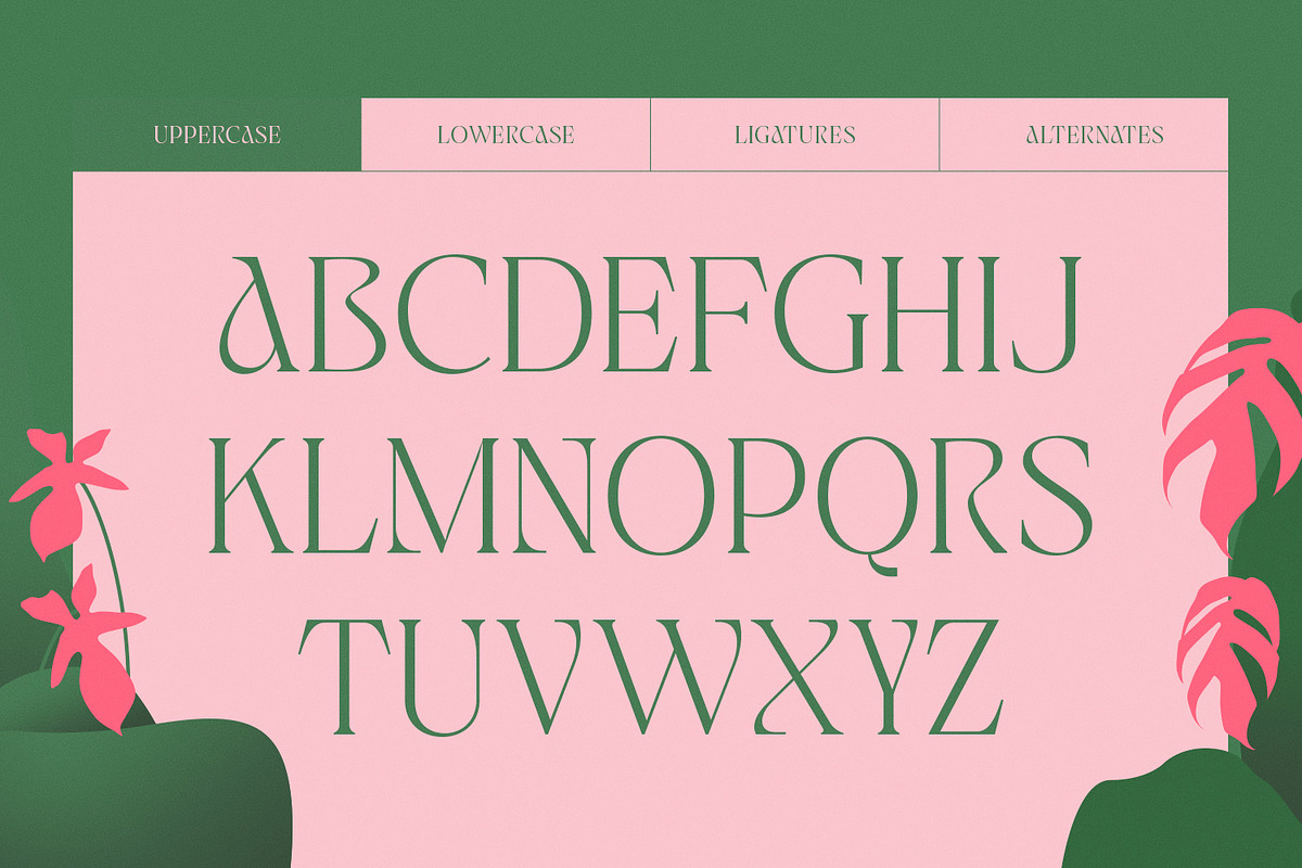 Jaella - Modern Serif Font, a Serif Font by creativemedialab