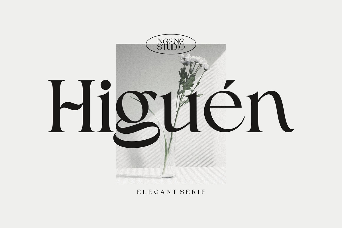 Higuen Elegant Serif, a Serif Font by ngene