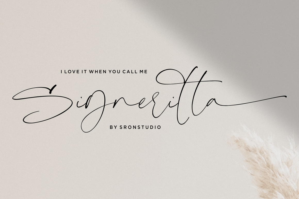 Signeritta - Elegant Signature, a Script Font by Sronstudio