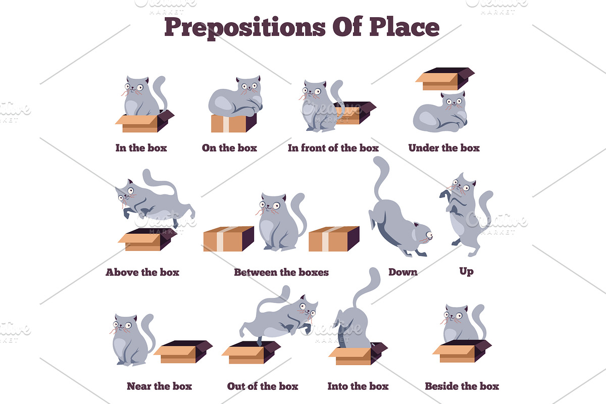 Prepositions of place English, an Animal Illustration by PrettyVectors