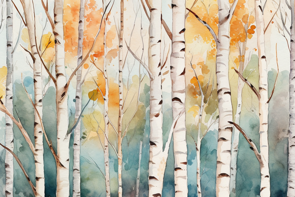Watercolor Autumn Birch Trees Forest, an Object Graphic by Printable ...