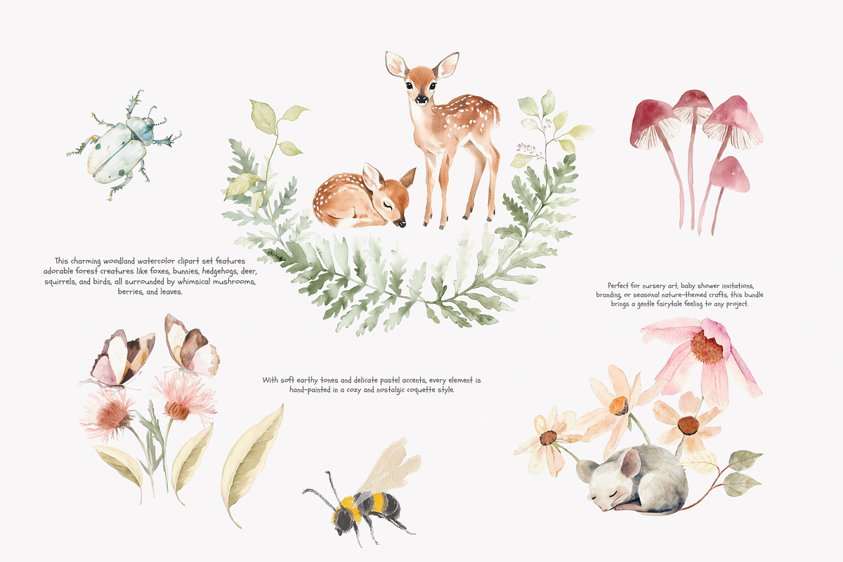 watercolor forest animals clipart, an Animal Illustration by Pink ...