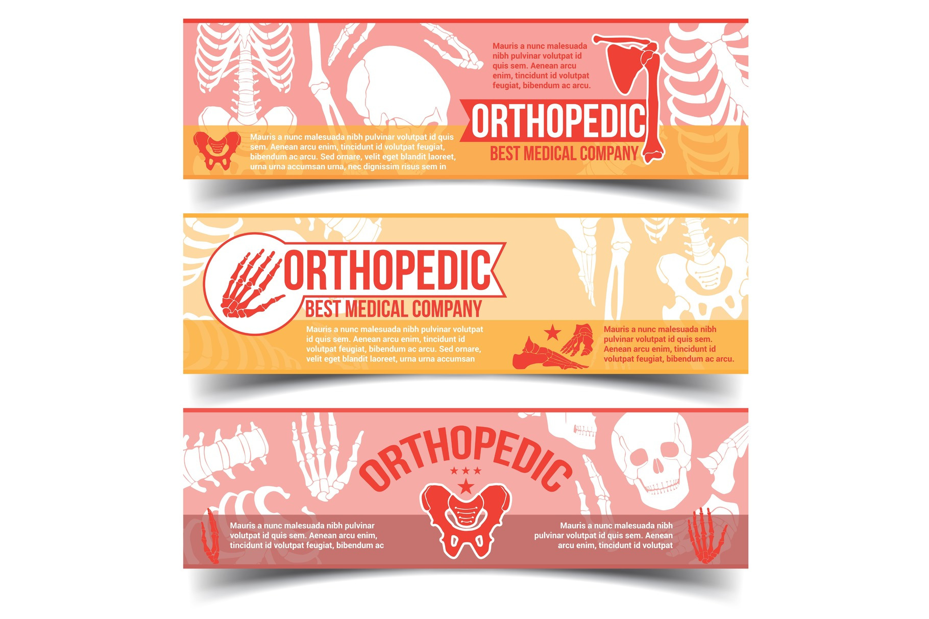 Orthopedic banners with x-ray human bones, a Health & Medical Photo by ...