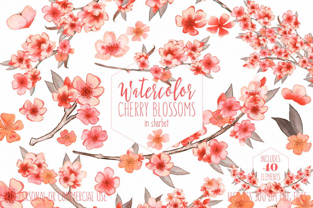 Watercolor Cherry Blossoms & Wreaths, an Illustration by ClipartBrat ...