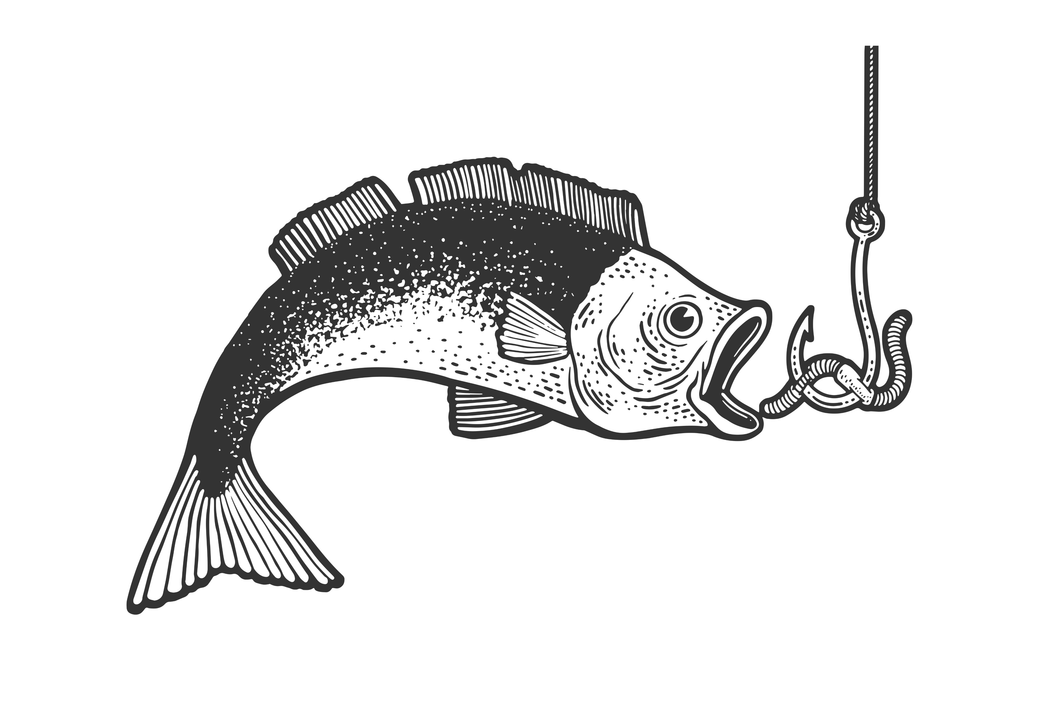 fish catch bait sketch vector, an Animal Illustration by AlexArt