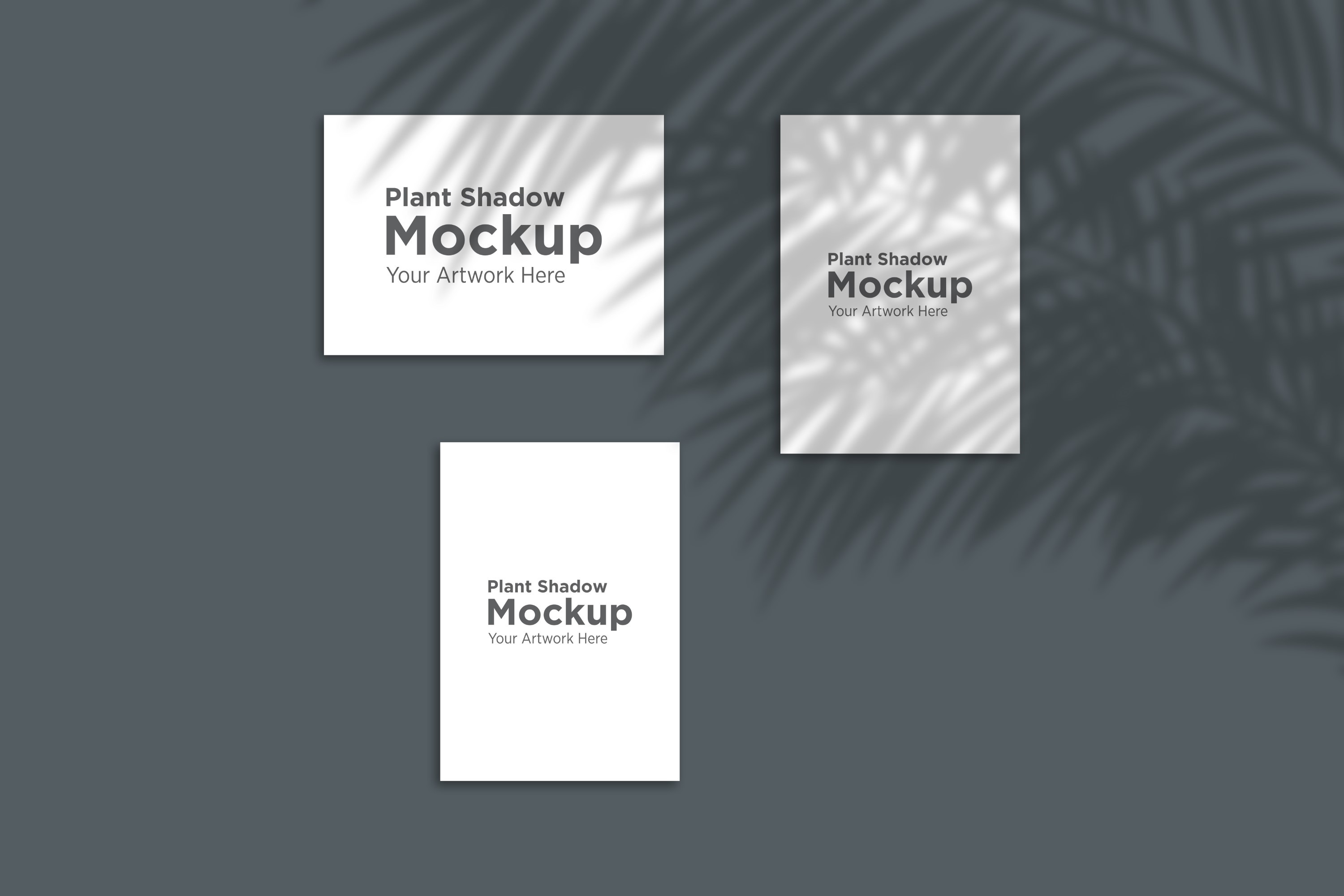Plant Shadow Mockup Template, a Product Mockup by shahsoft