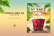 Spring Break Party Flyer, a Flyer Template by Corrella Design