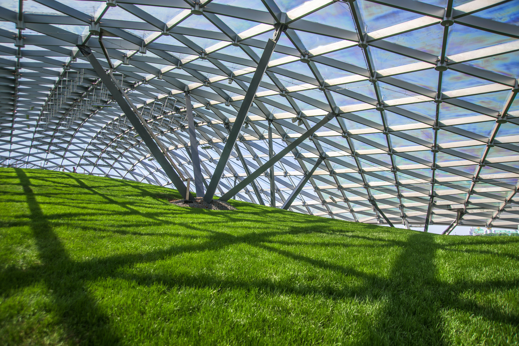 Transparent glass ceiling featuring glass, roof, and background, an ...