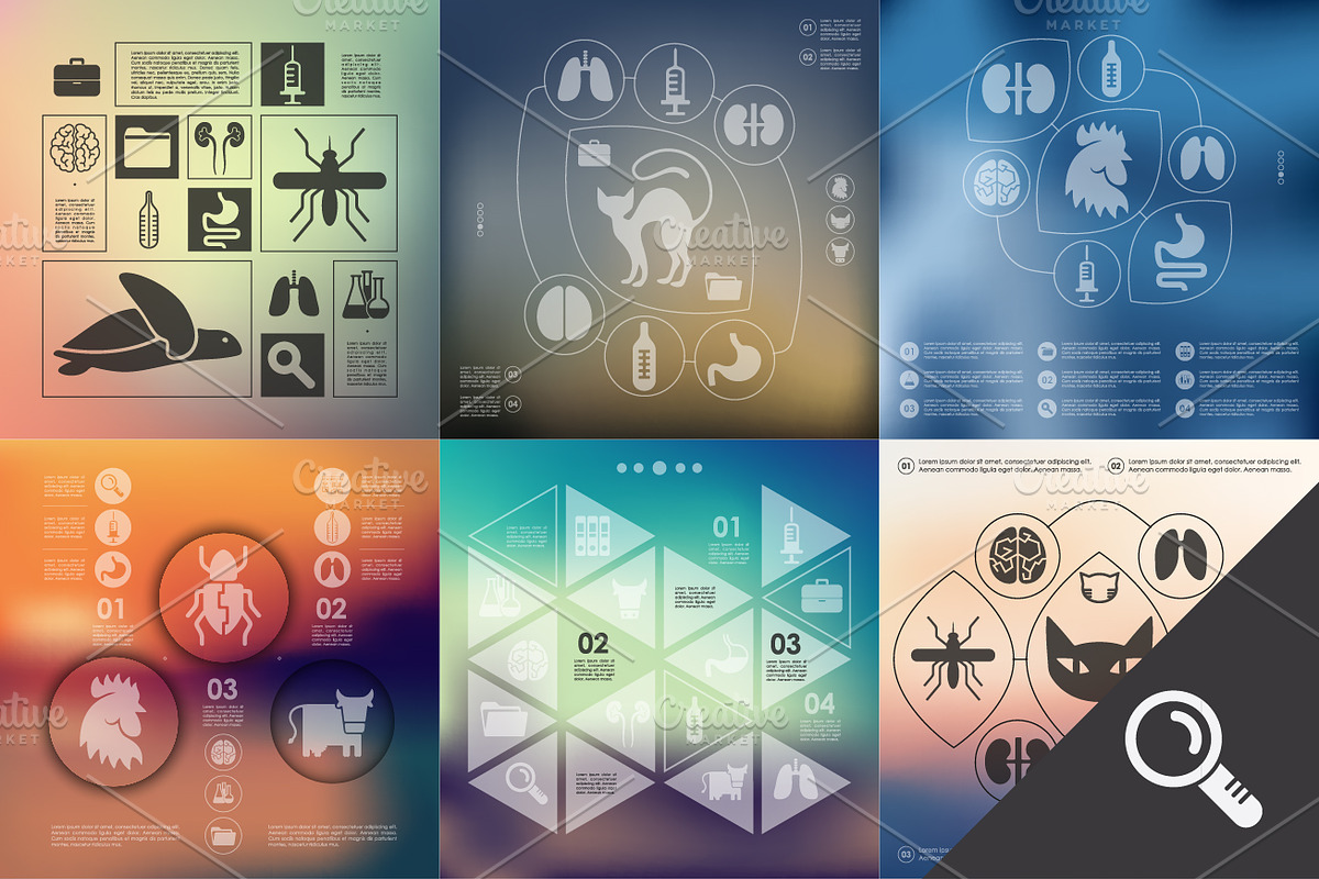 90 VET INFOGRAPHICS. Collection, a Presentation Template by Palau