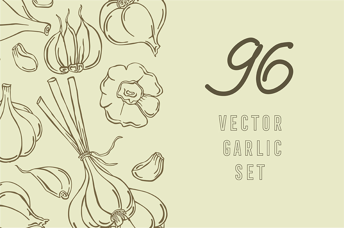 Garlic, vector, a Food Illustration by risovanya