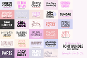 100 FONTS - Ultimate Font Bundle V4, a Font by Blush Font Co.