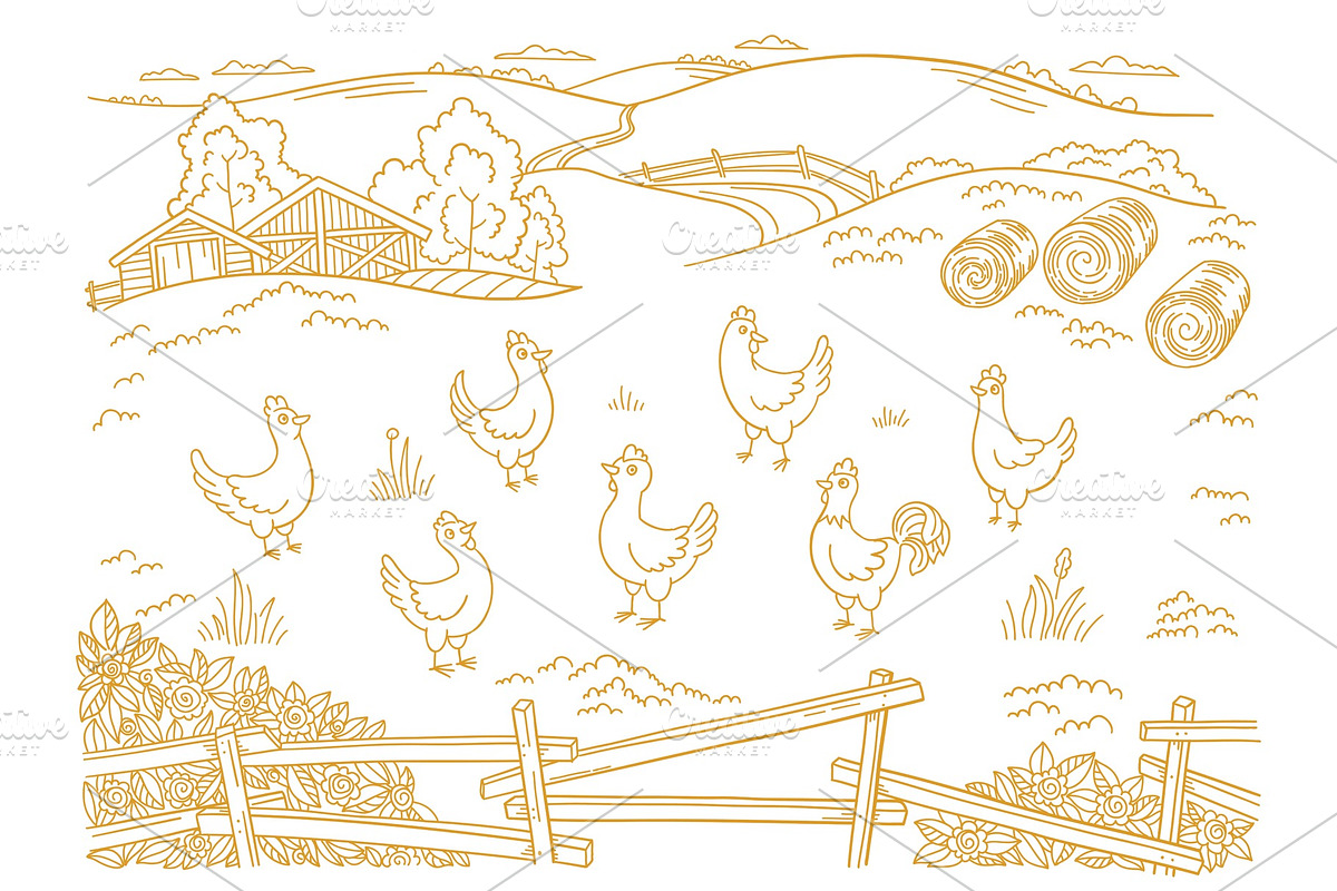 Poultry farm. Chicken factory., an Illustration by Vector illustrations