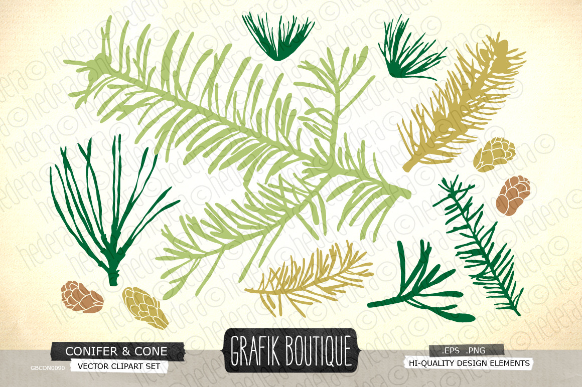 Conifer pine fir cone christmas tree, a Decorative Illustration by ...