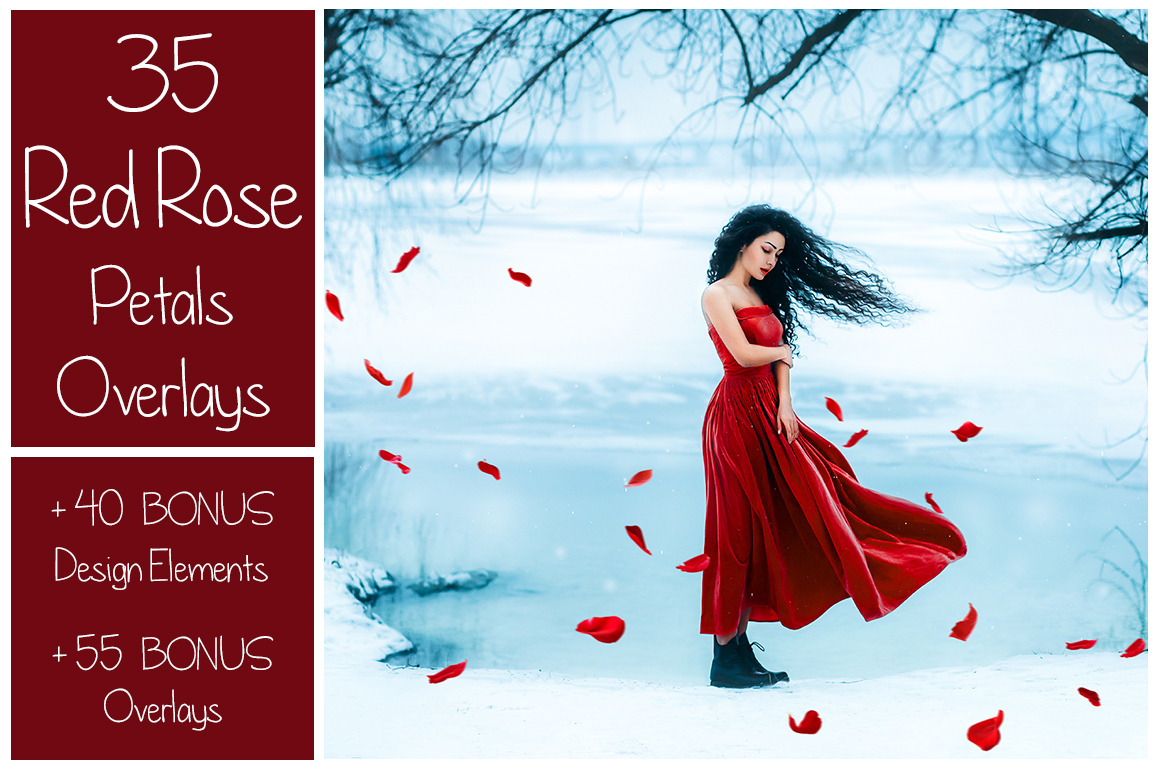 130 Red Rose Petals Overlays PNG, a Layer Style Add-On by LovePhotoMoment