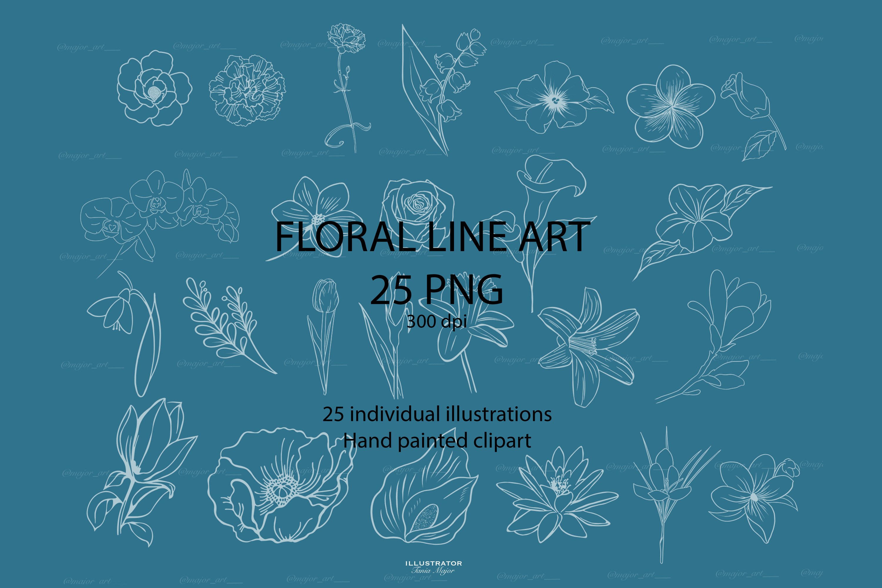 Flowers clipart, Botanical line art, an Illustration by MajorArtTm