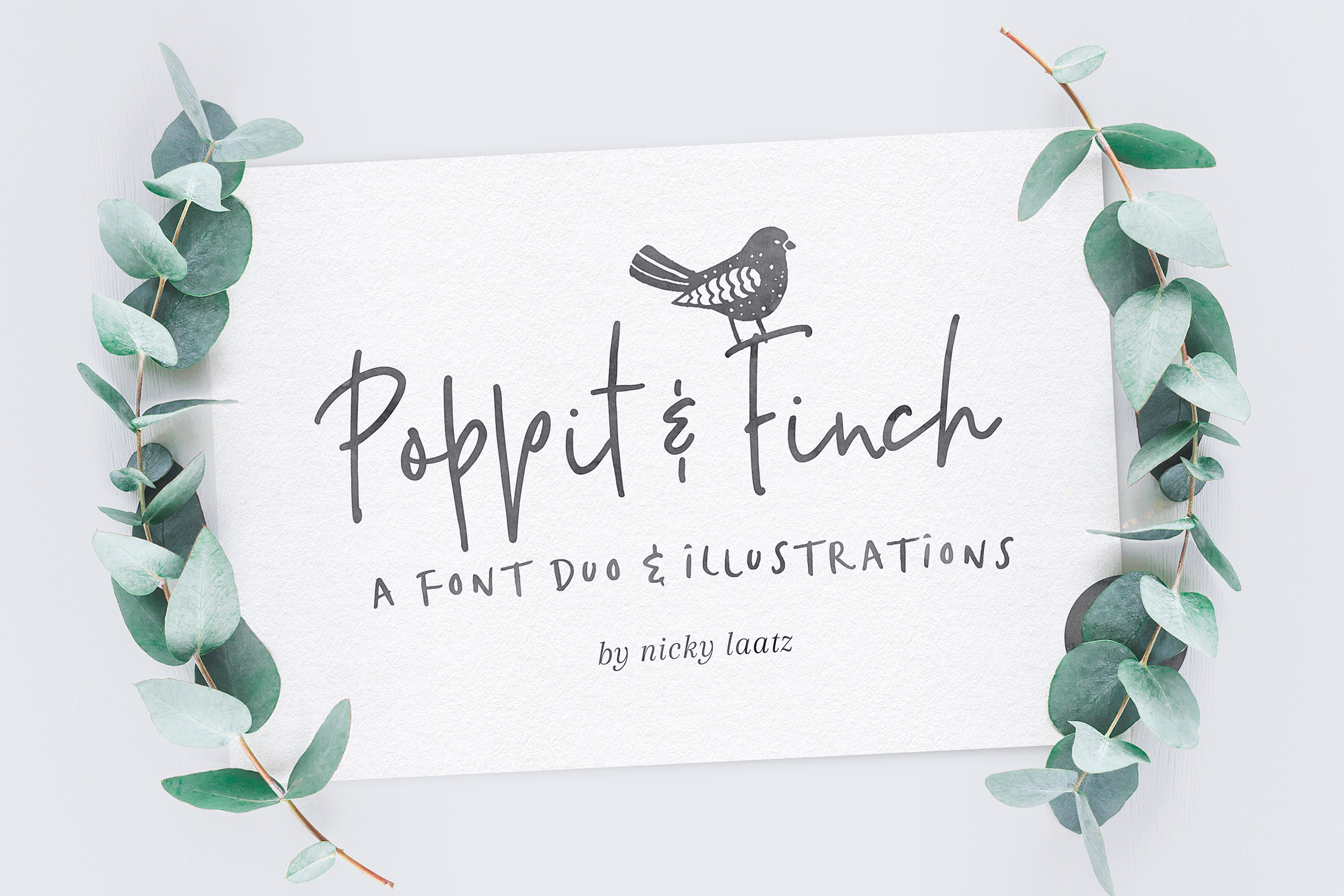 Poppit & Finch Fonts & Illustrations, a Script Font by Nicky Laatz