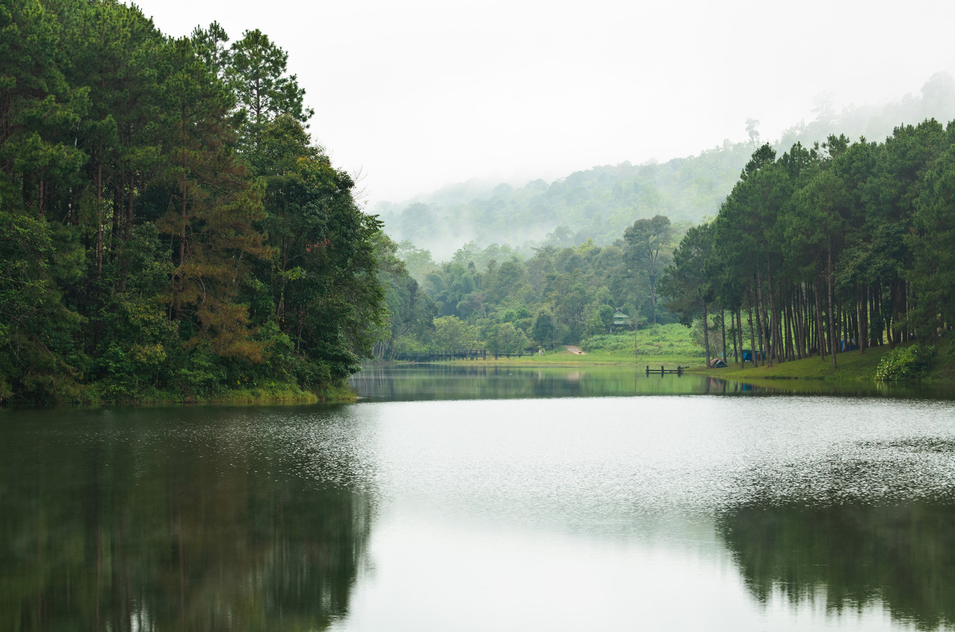 Lake in pine forests featuring lake, forest, and nature, a Nature Photo ...