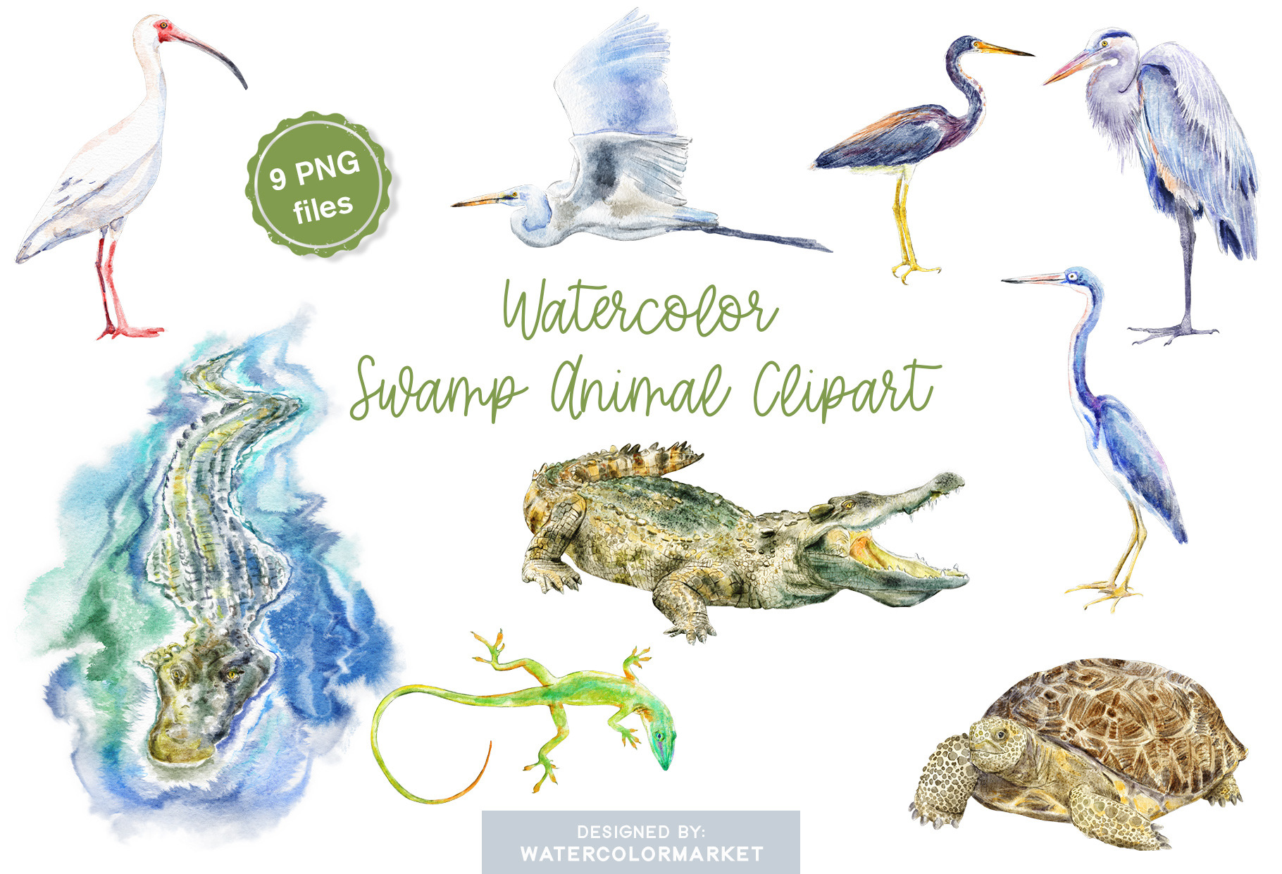 Swamp Animals Clipart, an Animal Illustration by Dora Katona