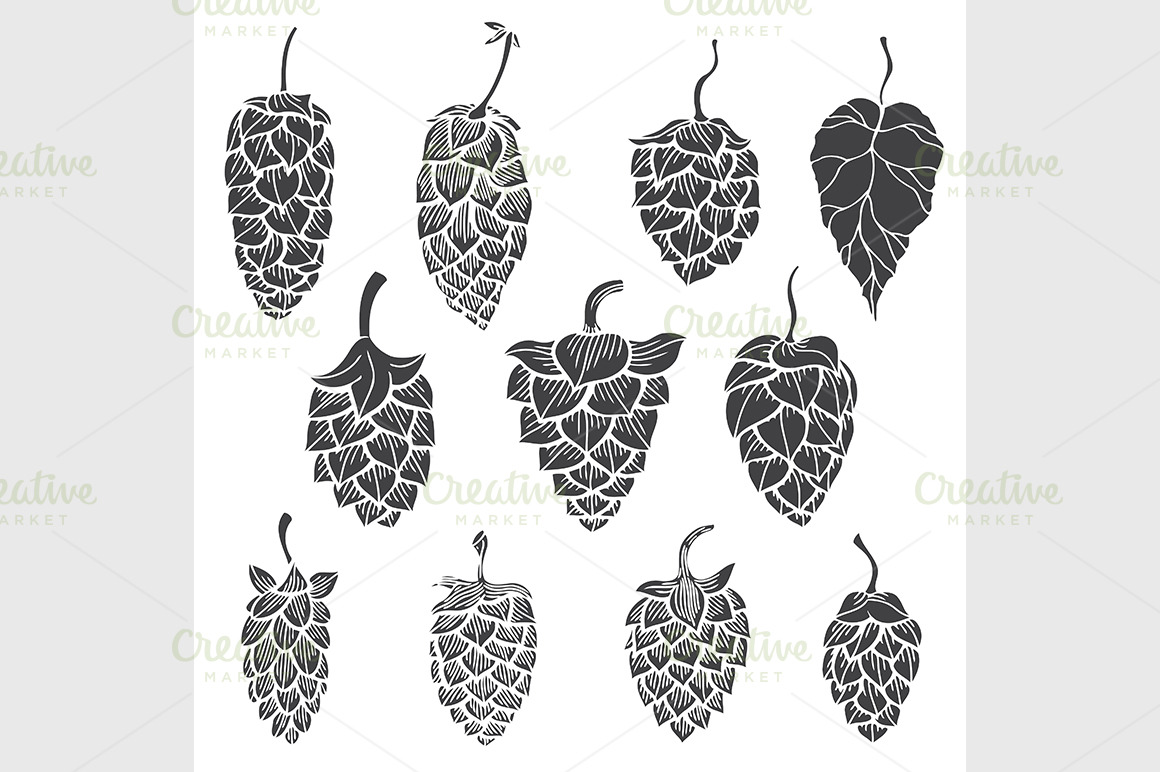 Set of Hops plant, a Background Graphic by IllustrationArtShop