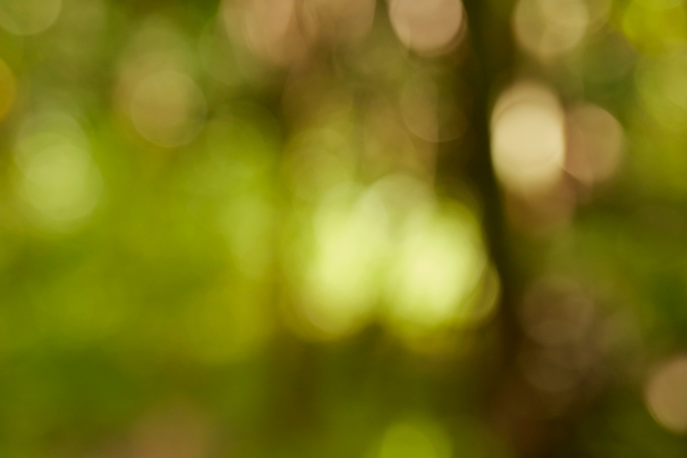 Abstract nature green background stock photo containing background and ...