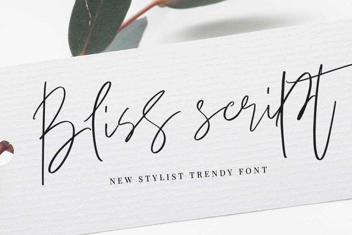 Bliss Script Stylist!, a Script Font by Dirtyline Studio