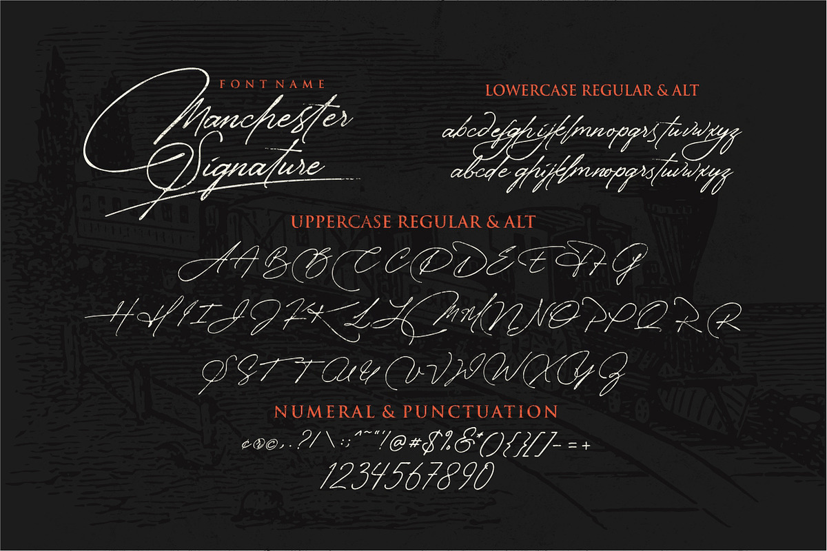 Manchester Signature Classy- 20% OFF, a Handwritten Font by typeline studio