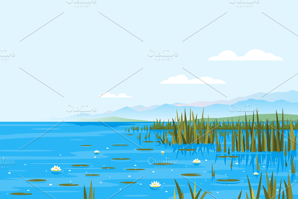 Bulrush Plants with Water Lily, an Illustration by Oceloti
