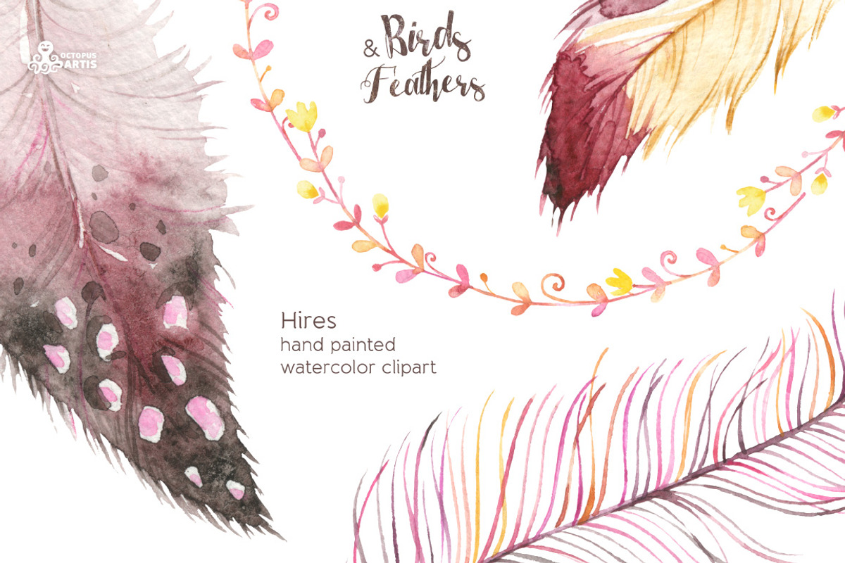 Birds & Feathers collection, an Illustration by OctopusArtis