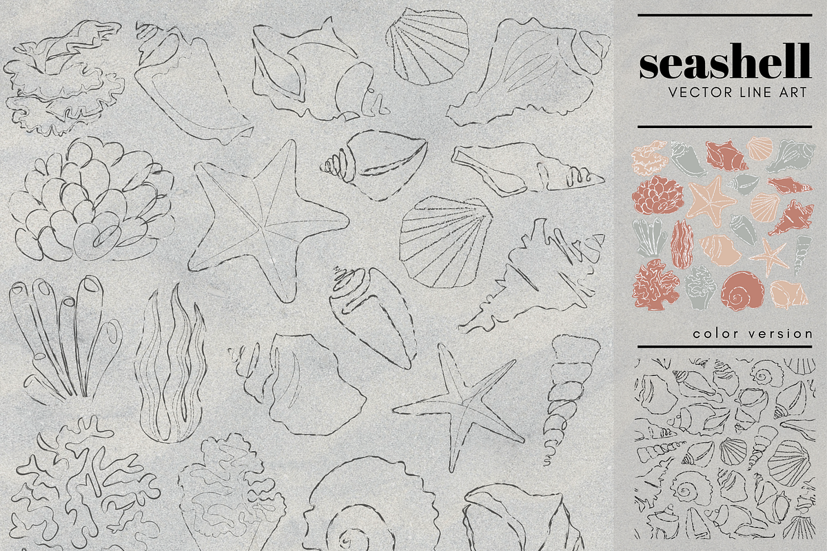 Seashell vector line art, an Illustration by Zeukaa | Creative Market