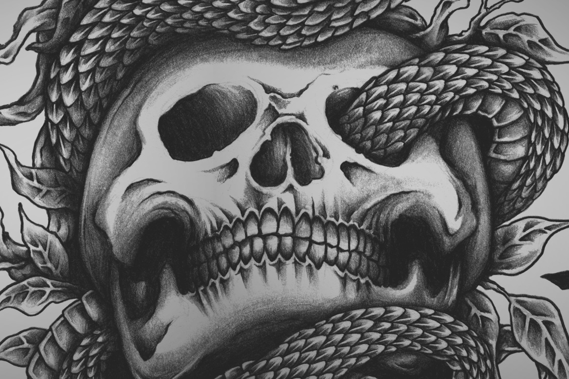 Snake & Skull, an Illustration by TSV Art Collective