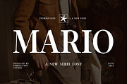 Mario Elegant Serif Font Typeface, a Serif Font by Perfectype