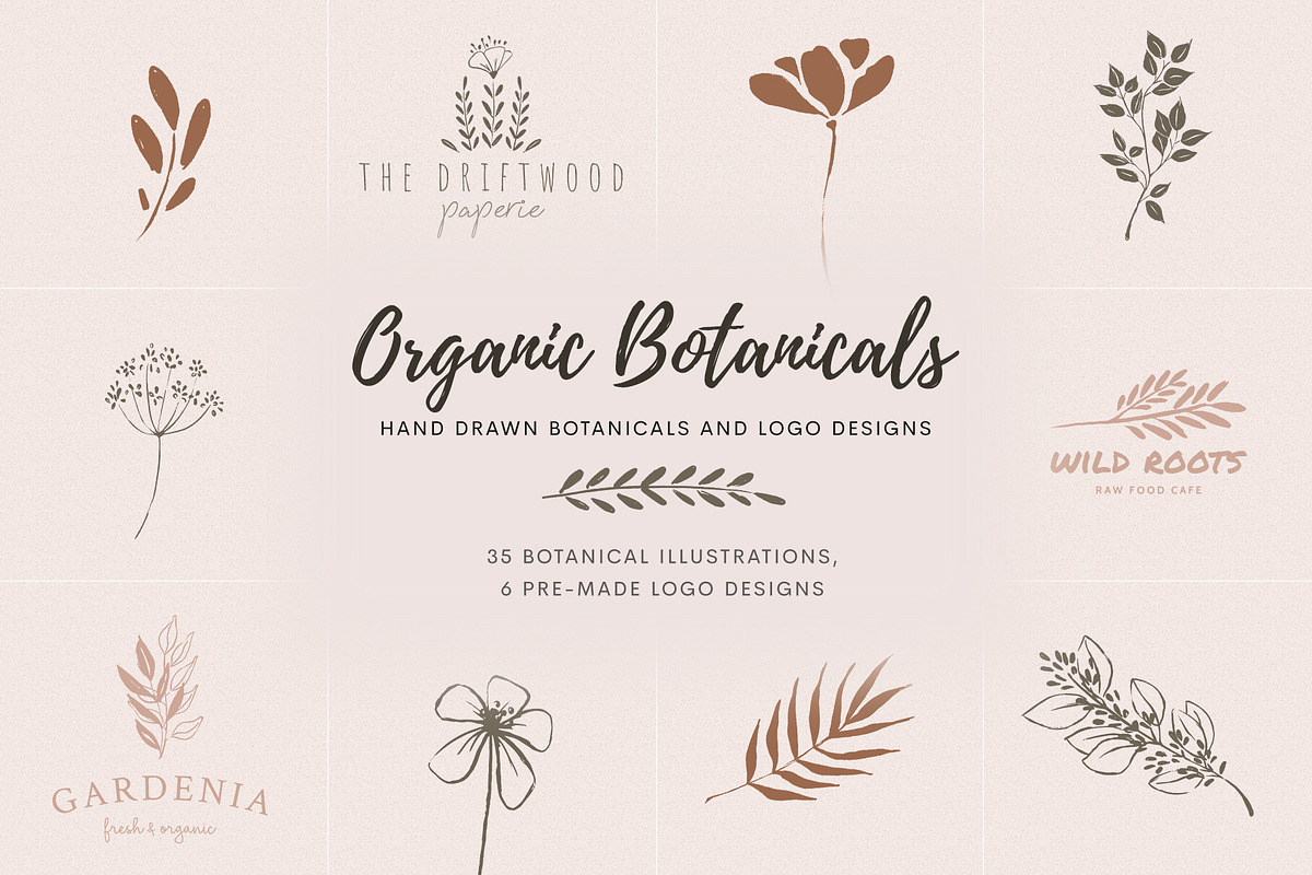 Organic Botanicals & Logo Designs, an Illustration by amber&ink