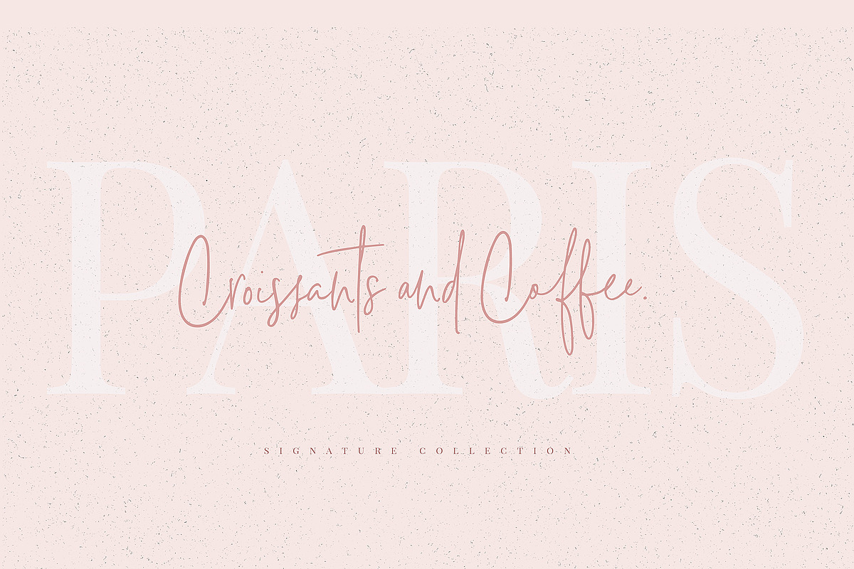 Signature Collection Script Font, a Script Font by Nicky Laatz