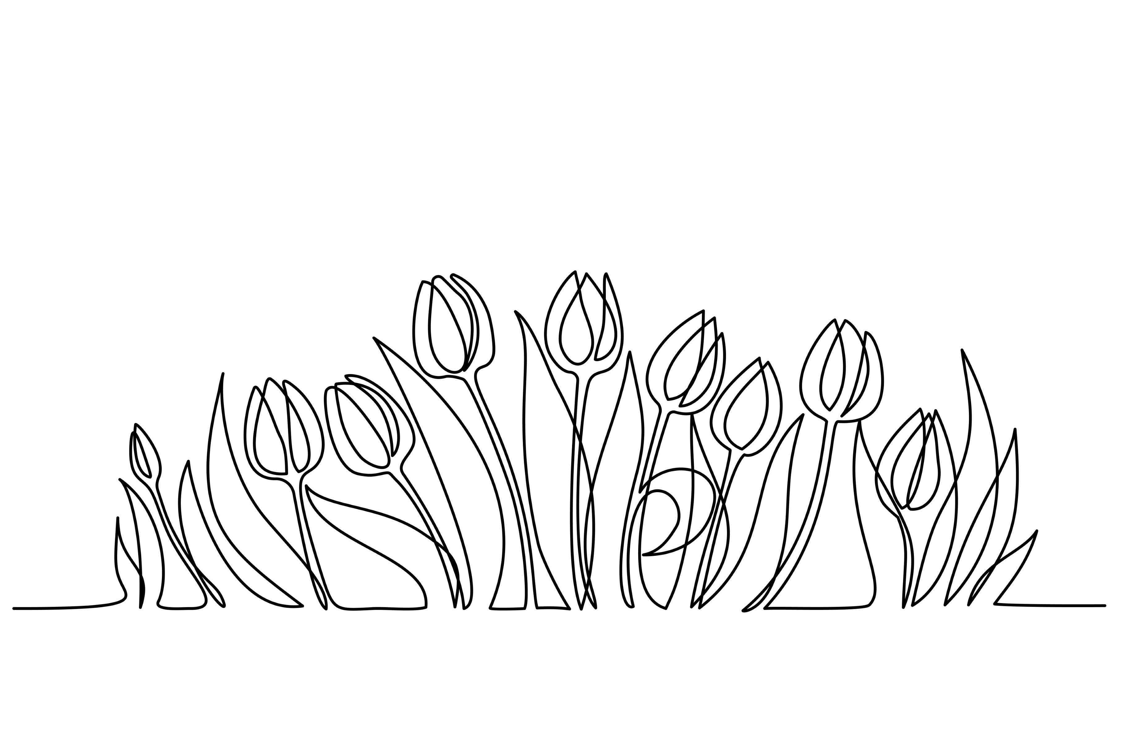 Tulip flower line art. Minimalist, a Decorative Illustration by Valenty ...