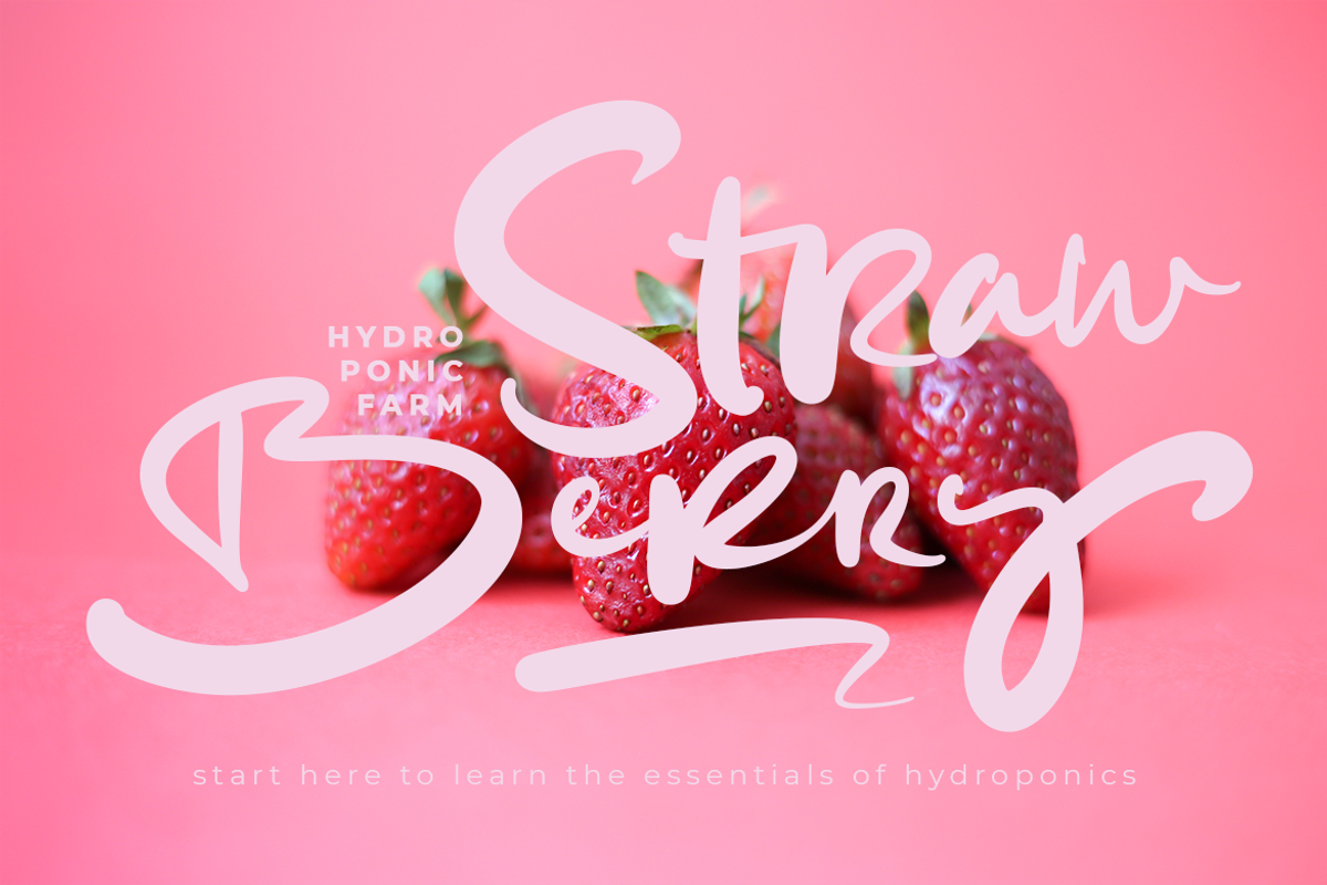 The Bajaka | A Quirky Playful Font