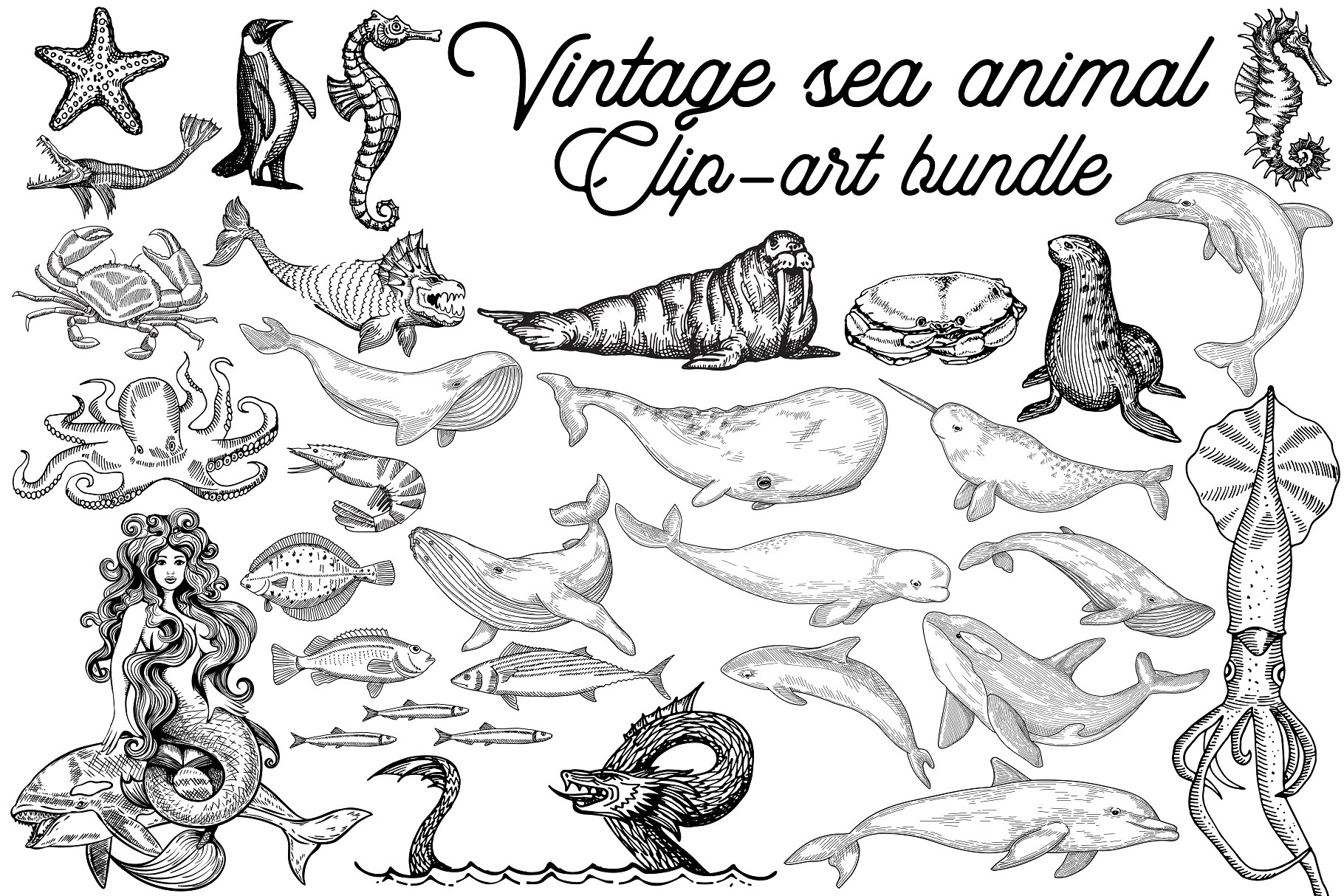 Vintage Sea Creature Clipart