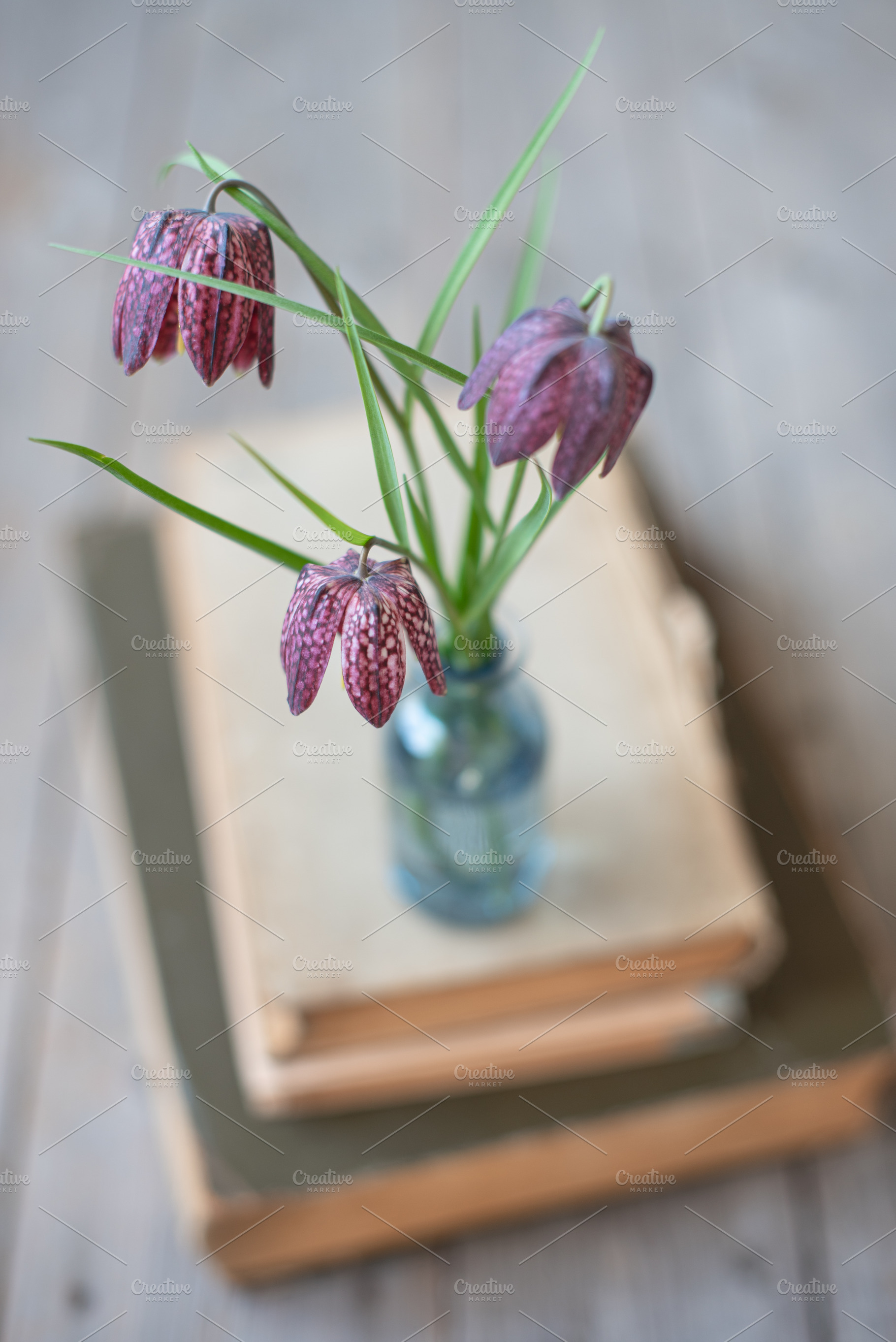 Spring flowers hazel grouse chess, a Nature Photo by letterberry ...