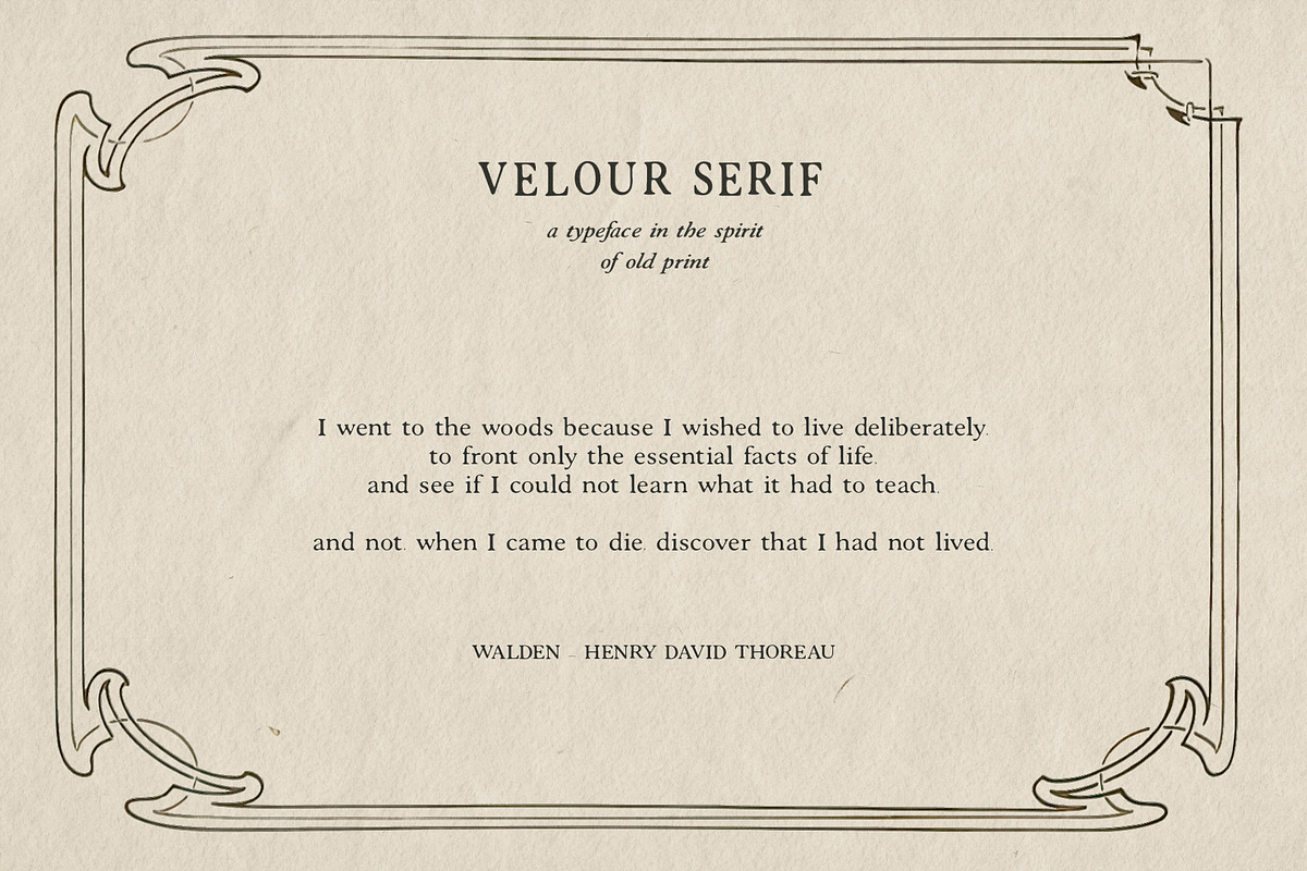 Velour Serif: Elegant Vintage Font