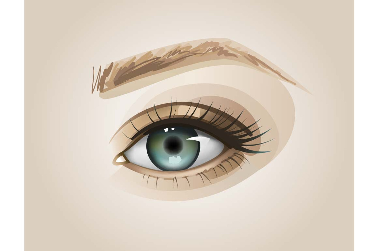 Realistic Eye - Vector Illustration, an Illustration by Solana