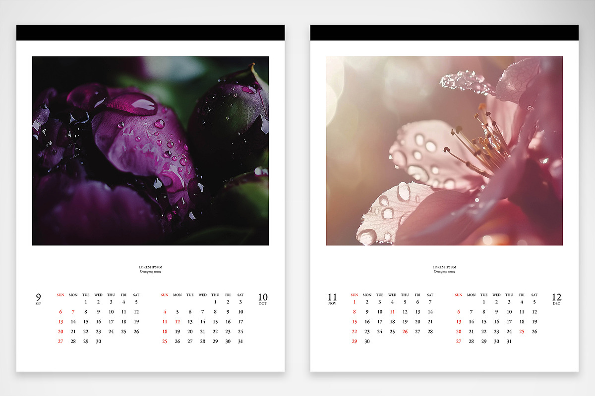 Elegant Flower Photo Calendar 2026, a Print Template by McLittle Stock