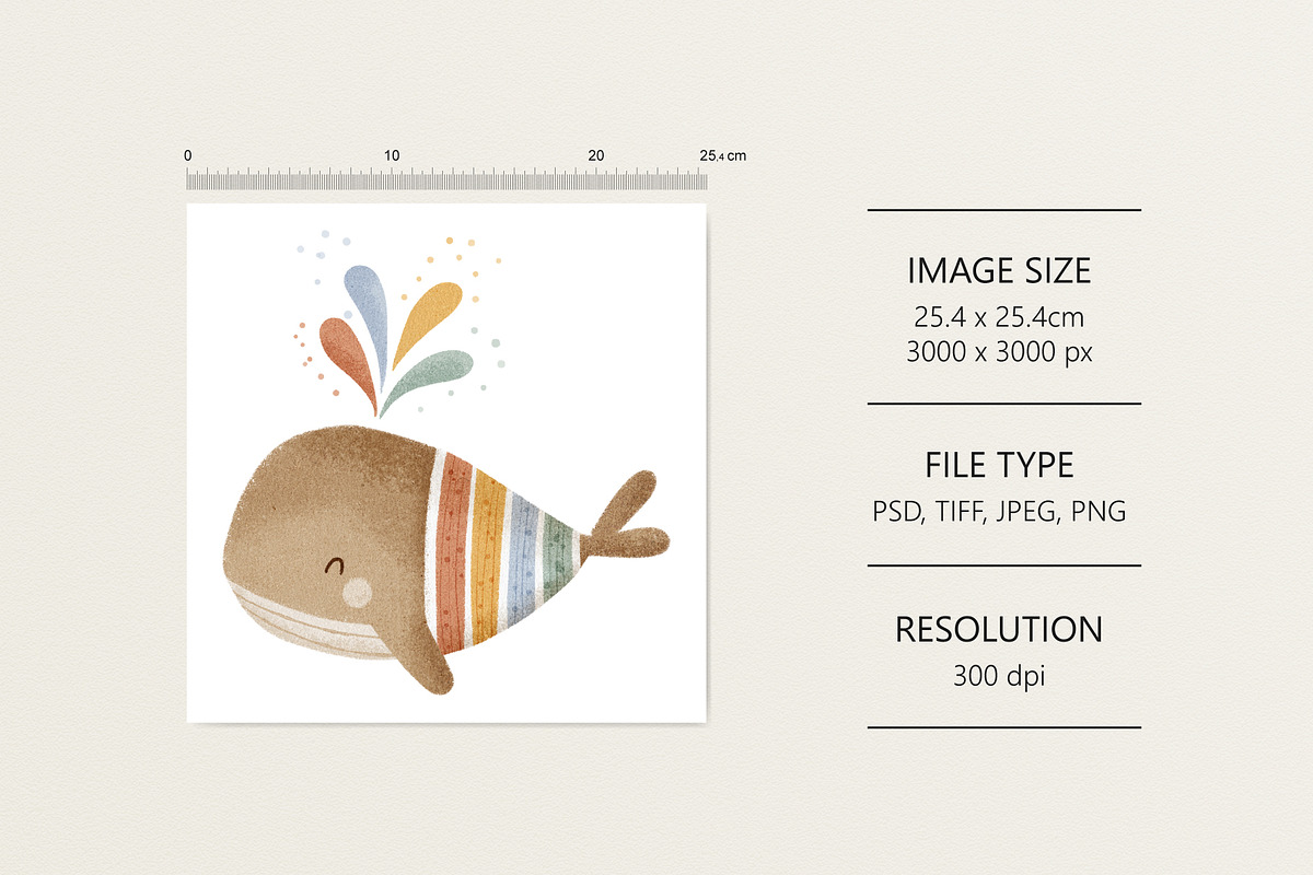 Rainbow Whales design