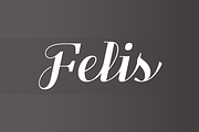 Felis Script, a Script Font by Typomancer | Creative Market