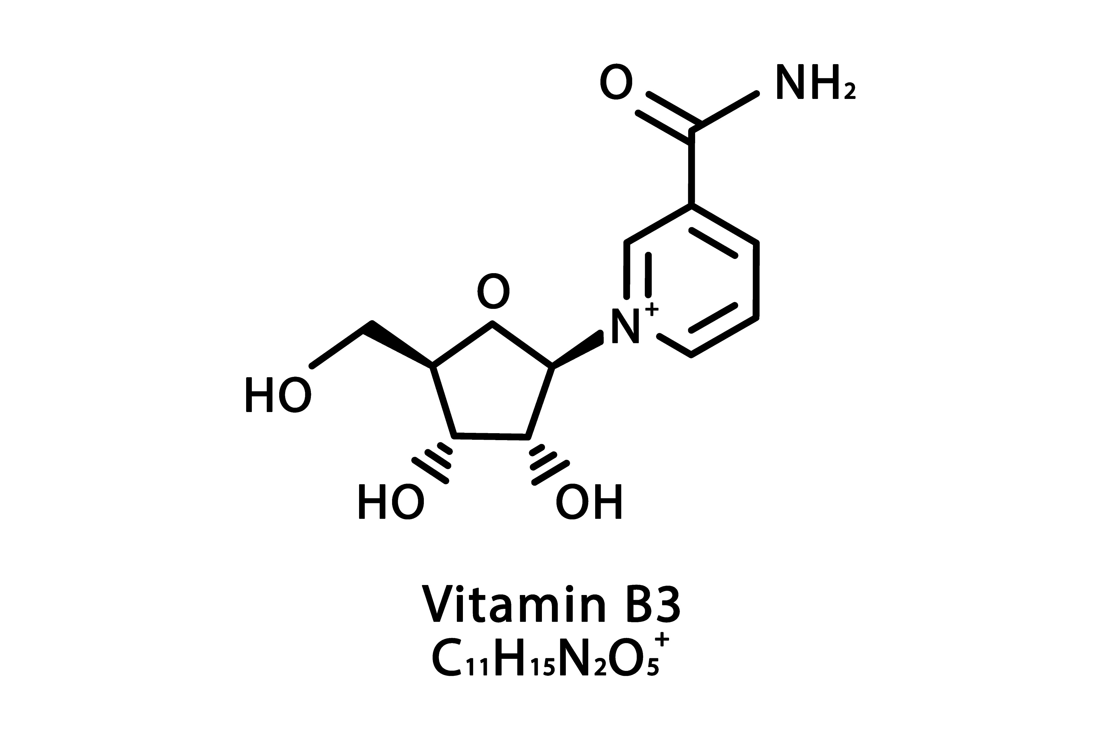 Vitamin B3 Nicotinamide riboside | Education Illustrations ~ Creative ...