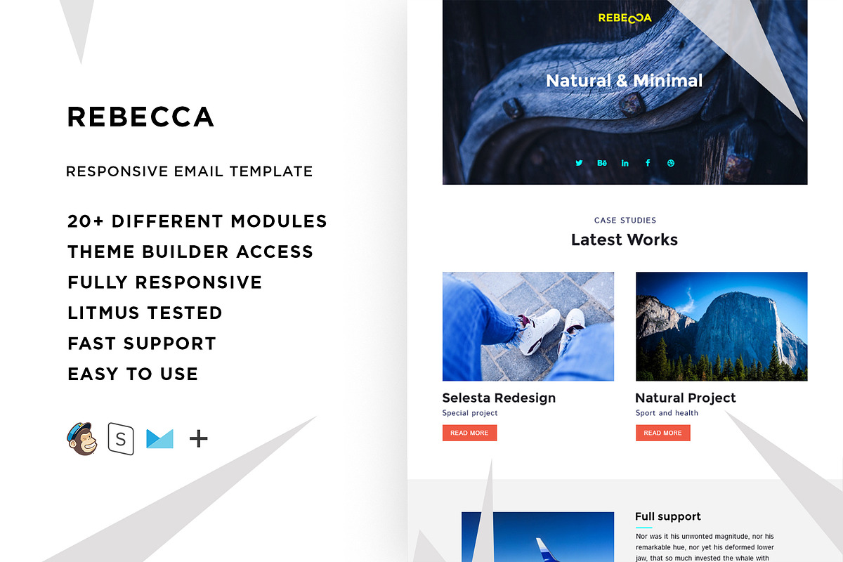 Rebecca – Responsive Email template, an Email Template by ThemesCode ...