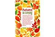 Autumn fall leaves vector poster template | Seasonal Illustrations ...